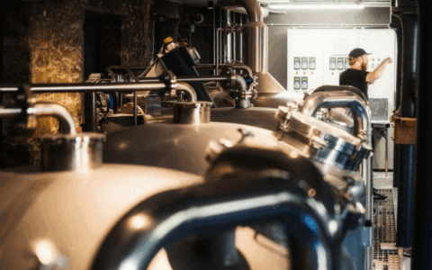 Distillery Tour | Whisky Tour | Gin Tour | Holyrood Distillery